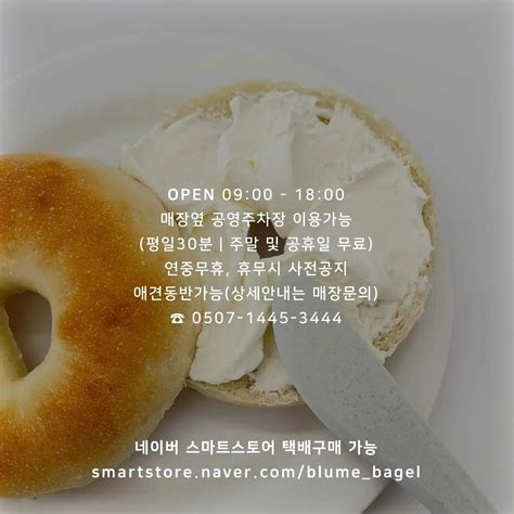 제주시청 수제 베이글 And 크림치즈 전문점 블루메베이글 제주특별자치도 제주시 이도2동 비즈프로필