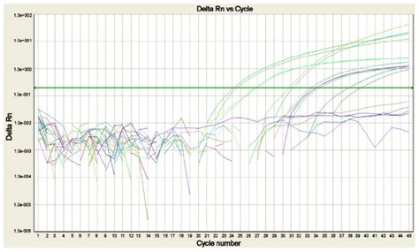 Real Time Pcr Amplification Plot For Plasmodium Dna Detected In Blood Download Scientific