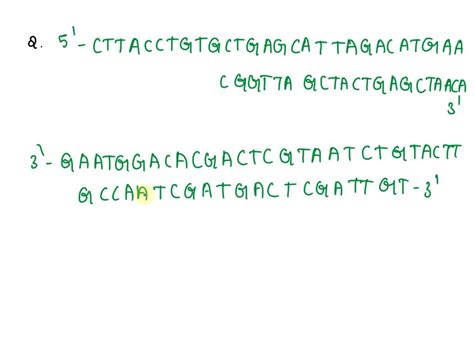 solved hello please answer all 1 fill in the gaps that describe