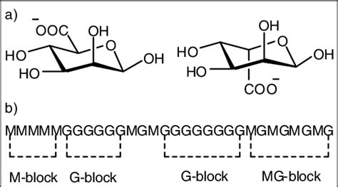 Structural Features Of Alginates A Monomers In Alginate B Blocks Download Scientific