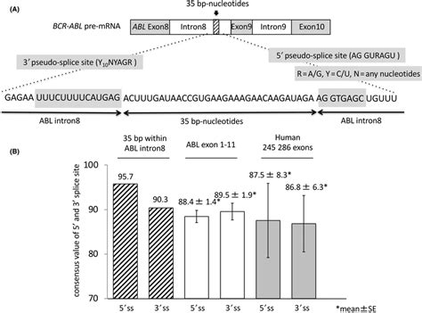 pseudo‐splice sites at both ends of 35 bp‐nucleotides in intron 8 a