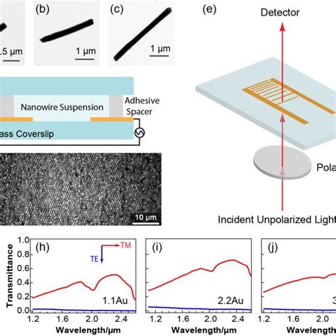 Directed Self Assembly Dsa Of Gold Nanowires With A Single Electrode Download Scientific