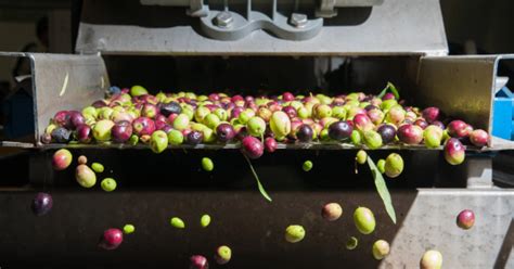 Designing A Robust Gige Vision Camera System Teledyne Vision Solutions