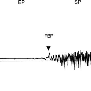 PDF Effects Of Physical And Apnea Training On Apneic Time And The Diving Response In Humans