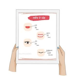 Parts Of Body Names In Punjabi And English Worksheets Bilingual Body Parts Names Learning