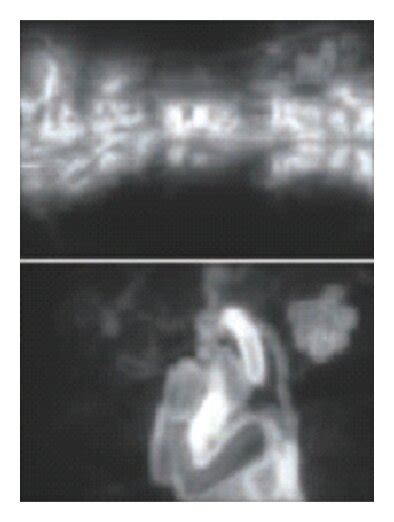 Visual Saliency Maps Of The Results Download Scientific Diagram