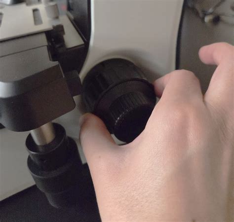 33 Microscope Handling And Care Medicine Libretexts
