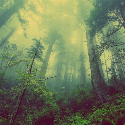 ‎명상 심리안정の「명상 마음의 진정 심리적 안정 심신의 행복 위로 이완을 주는 평온하고 잔잔한 마음치유 피아노자장가 4 명상 마음치료 Single」をapple