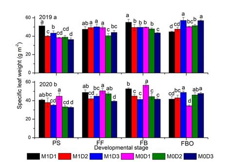 Dynamics Of Specic Leaf Weight A B As Function Of Developmental