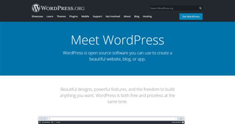 Wordpress Pros And Cons Why You Should Use It And Why Not