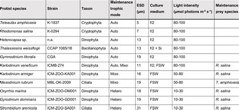 Protist Species Used In The Present Work During Preliminary Trials And Download Scientific