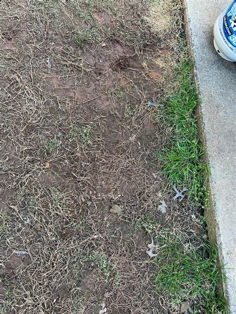 Help Fixing Dead And Patchy Grass Rlawncare