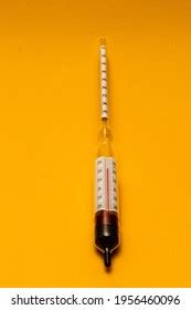Hydrometer Device Measuring Density Liquids Solids Stock Photo Shutterstock