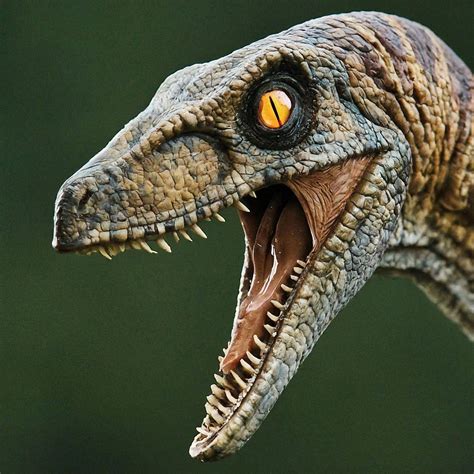 Lost World Velociraptor Movie Version By Prehistoricpark96 On Deviantart
