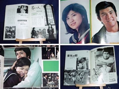 Yahooオークション パンフ 1977年【若い人青年の樹】 B ランク