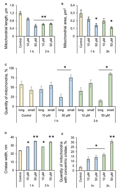 Figure 3 From Pseudomonas Aeruginosa N 3 Oxo Dodecanoyl Homoserine