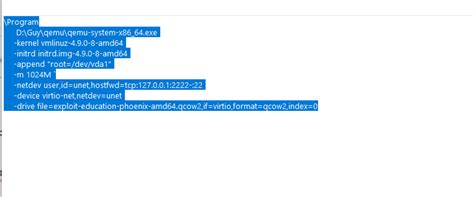 Qemu Problem With Powershell Script In Setup Exploit Education