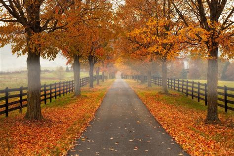 63 Fall Season Quotes Best Sayings About Autumn