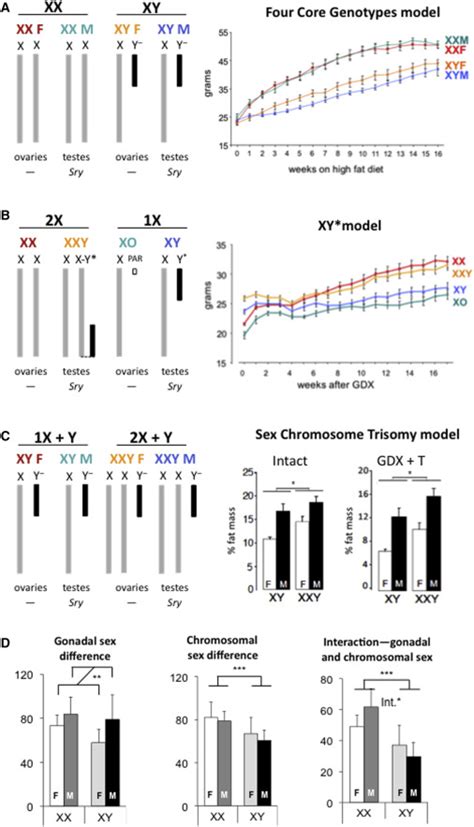 A Guide For The Design Of Pre Clinical Studies On Sex Differences In