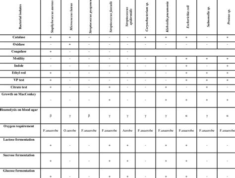 Biochemical Assay Based Characterization Of Bacterial Isolates From