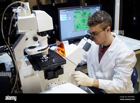 Analyzing Fluorescent Labelled Samples Axio Observer Z1 Inverted Phase