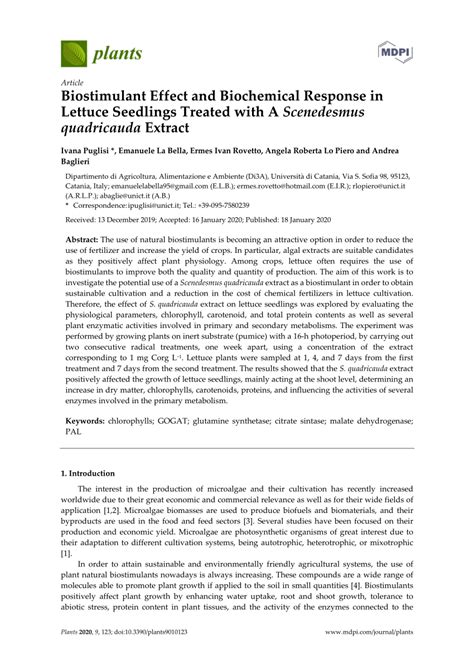 Pdf Biostimulant Effect And Biochemical Response In Lettuce Seedlings