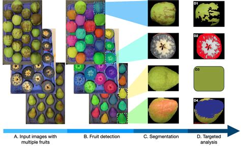 Overview Of The Automated Image Analysis Workflow The Workflow Download Scientific Diagram