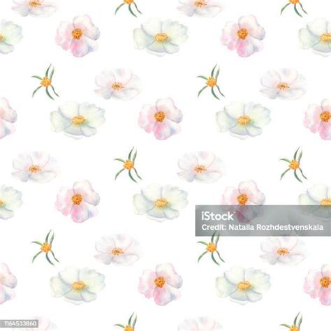 매끄러운 패턴 꽃과 장미 엉덩이 의 과일 수채화 꽃 그림입니다 꽃 화환 결혼식 구성 기념일 생일 초대 인사말 카드의 보헤미안 꽃다발 개체 그룹에 대한 스톡 벡터 아트 및