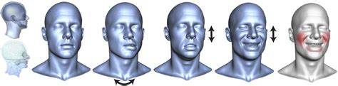 enriching facial blendshape rigs with physical simulation disney research