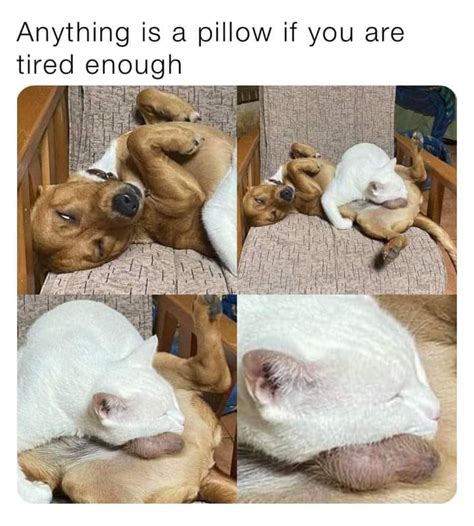 Post By Memes Memes