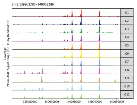 Single Cell Atacseq Analysis