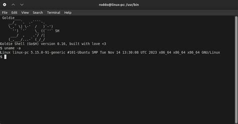 Built A Simple Cross Platform Unix Shell Runix