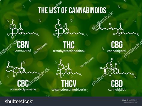 Realistic Vector Illustration Cannabinoid Compounds Chemical Stock