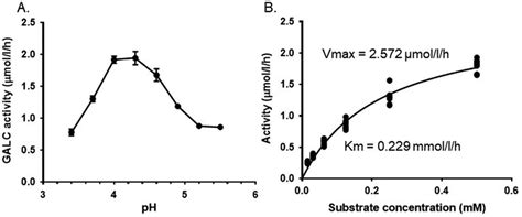Ph Optimization And K M V Max Determination A Optimal Ph For Galc