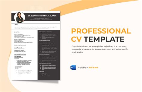 Free Editable Cv Templates In Word To Download