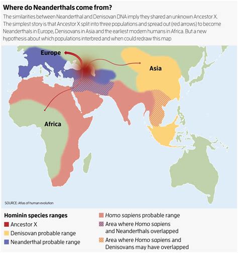 Are Neanderthals Descendants Of Modern Humans New Scientist