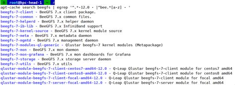 Qlustar Beegfs Stack