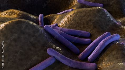 3d Rendering Of Mycobacterium Leprae Is A Gram Positive Bacteria That