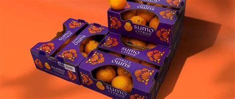 【vi手册资源库】全球最稀有的无核柑橘品牌 Sumo Citrus 品牌标识与包装设计系统!美国的日本品牌 【vi手册资源库】全球最稀有的无核柑橘品牌 Sumo Citrus 品牌标识与包装设计系统!美国的日本品牌