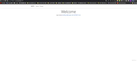Linux或者centos环境下部署net Core网站项目linux Centos部署dotnet网站 Csdn博客