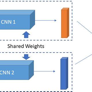 Illustrates The Working Of A Generic SNN Its Goal Being To Determine Download Scientific