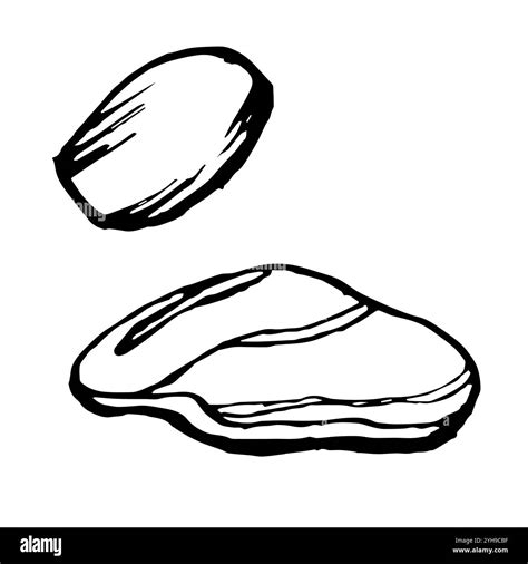 Stones Sketch Vector Monochrome Illustrations Of Natural Stone In Outline Style Hand Drawings