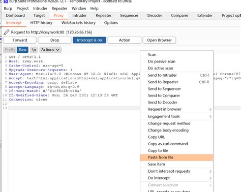 Burpsuite全套使用教程(超实用超详细介绍)burpsuite教程 Csdn博客 Burpsuite全套使用教程(超实用超详细介绍)burpsuite教程 Csdn博客