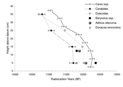 14 C Dates From The St Bees Insect Remains Compared To Associated Plant Download Scientific