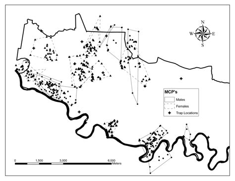 Home Ranges Minimum Convex Polygon Mcp For 7 Male And 9 Female