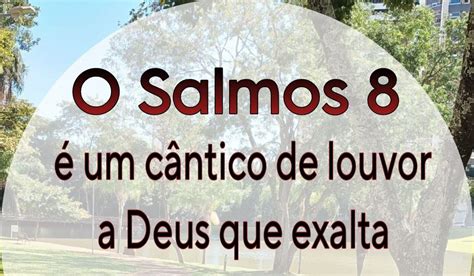 Palavra Eficaz Salmos 8 Comentário