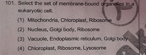 Select The Set Of Membrane Bound Organelles In A Eukaryotic Cell Filo