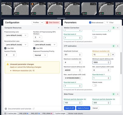 apply adjustments to single exposure in live cryosparc live