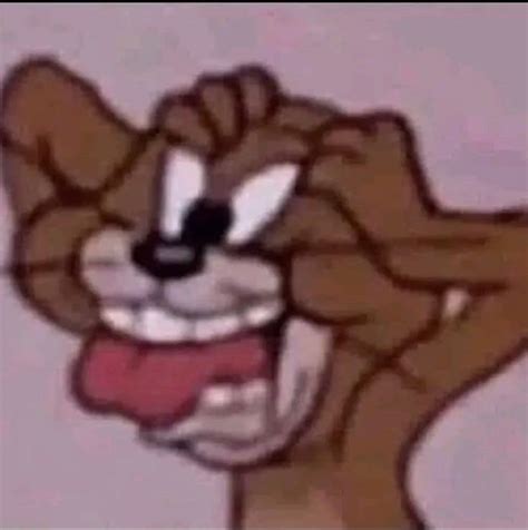 2102 Meme Jerry Biểu Cảm Khiến Cư Dân Mạng Cười Nghiêng Ngả