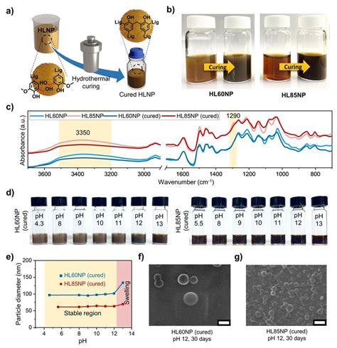 Hydrothermal Processing For Internal Crosslinking Of Nanoparticles Download Scientific Diagram